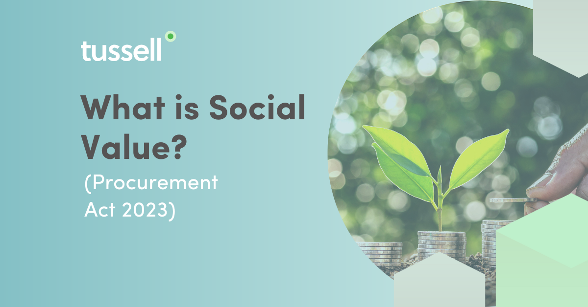 PPN 002: the Central Gov't Social Value Model, explained
